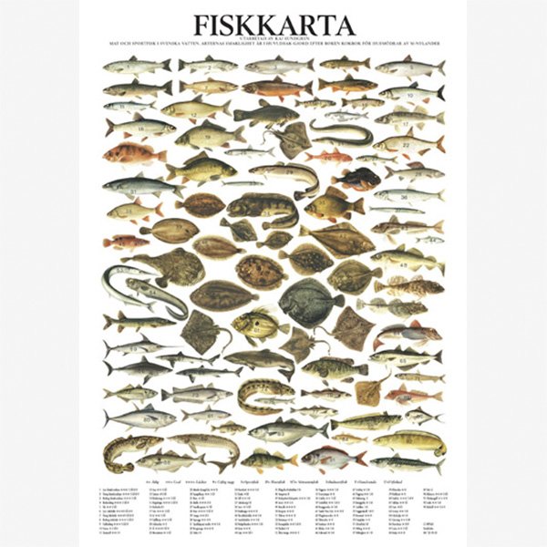 Plakat med fisk - FISKKARTA - Brugskunst og dekoration - www.shop ...